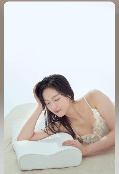 China PW100 Bamboo Memory Foam Pillow For Neck Pain / Shoulder Pain supplier