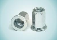 China Steel Full Hex Flat Head Rivet Nuts M3 M4 M5 M6 Threaded Insert for Sheet Metal Joining for sale