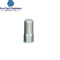 China M3 to M12 Stainless Steel Hex Blind Rivet Nut Hexagonal Rivnuts for Threaded Inserts for sale