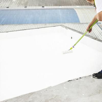 Cina Warranty Exterior Wall Coating Product Reflective Insulation Coating in vendita
