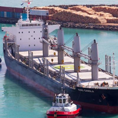 中国 Oemの船の味がない金属の保護層の錆の自由な反錆のペンキのアルカリの抵抗力がある塩 販売のため