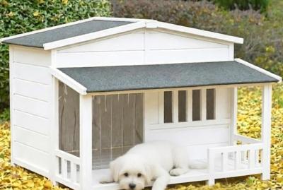China Water Based Acrylic Paint for Dog Kennels Wood Outdoor Pet House Coating for sale