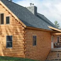 China Water-Based Wood EcoShield for Termite Control & Decay Prevention for sale