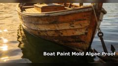 Wooden Boat Paint: Mold Algae Seawater Resistant