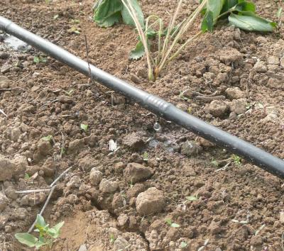 China Agriculture Drip Irrigation System Drip Tape ISO9001 factory for sale