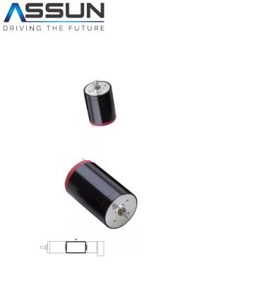Cina DC Coreless Metal Brush motor Coreless DC Brush Motor D16mmL42mm 6V12V24V36V48V in vendita