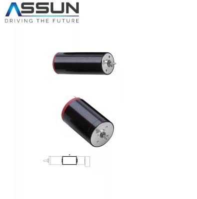Cina DC Metal Brush Motor Coreless Metal DC Brush motor3V6V12V24V.D22mm L32mm in vendita