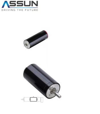 Cina DC Coreless Metal Brush motor Coreless Brush Motor.Electrical Brush Motor6V12V24V48V in vendita