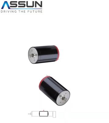 Cina DC Coreless Brush Metal Motor6V12V24V36V48V Coreless DC Brush Motor L42mm D22mm in vendita
