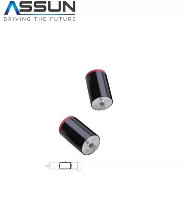 Cina DC Coreless Metal Brush Motor Coreless Brush DC Motor6V12V24V36V48V D22mm L42mm in vendita