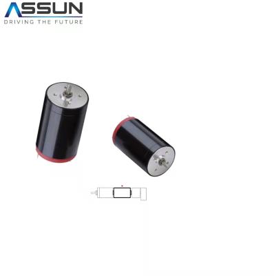 Cina Coreless DC Brush Metal Motor3V6V12V24V.DC Metal Brush Coreless Motor L32mmD25mm in vendita