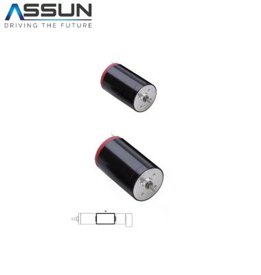 Cina DC Coreless Brush Metal Motor.DC 3V6V12V24V Metal Brush Coreless Motor L32mmD25mm in vendita