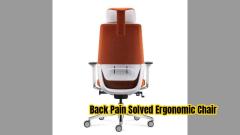Ergonomic Mesh Chair Lumbar Support Adjustment