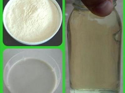 China SC Pyrethroid sintético altamente ativo do EC WP de Alpha Cypermethrin dos inseticidas à venda