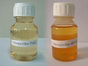 Cina Insetticidi organici del clorpirifos, Cas 2921 vasto insetticida di spettro 88 2 in vendita