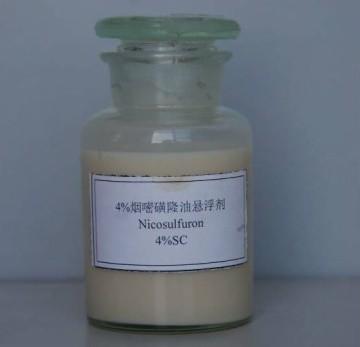 中国 40のG/L Nicosulfuron ODのトウモロコシ畑のよい効果のための選択的な除草剤 販売のため