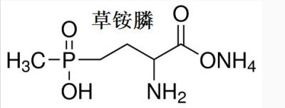 Cina Cas #77182-82-2, diserbante non selettivo del contatto dell'ampio spettro, controllo dell'ammonio perenne di WeedsGlufosinate, in vendita