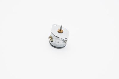 China 3.3V-5V Voltage Micro-Step Driving Motor With 2 Phase 4 Wire Connector Type for sale