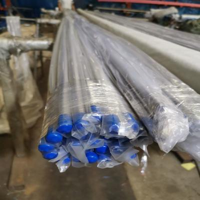 Cina Bright Annealed Sanitary Seamless Tube ASTM A270 TP316L 1.4404 in vendita