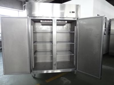 Cina Il CE ha approvato l'attrezzatura di refrigerazione commerciale della cucina del congelatore commerciale disponibile di 2 porte R290 in vendita