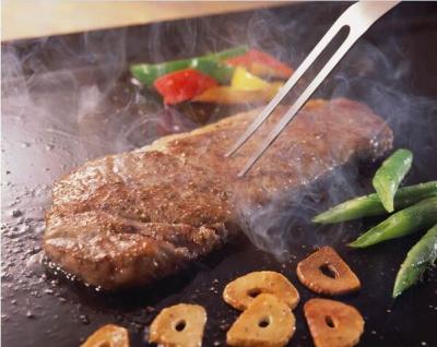 Cina Isolato che cucina le linee gas di acciaio inossidabile/piastra elettrica per la cucina in vendita