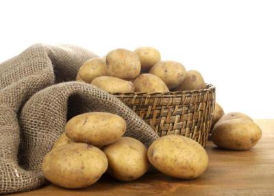Cina Il CE ha approvato le attrezzature della preparazione di alimento, macchina commerciale elettrica di Peeler della patata in vendita