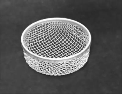 China Edelstahl, der Mesh Screen Filter Bowl With-Rand stempelt zu verkaufen