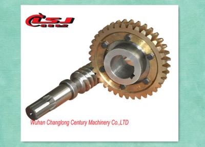 China Precision Construction Elevator Parts Self Locking Worm Gear For Worm Gearbox for sale