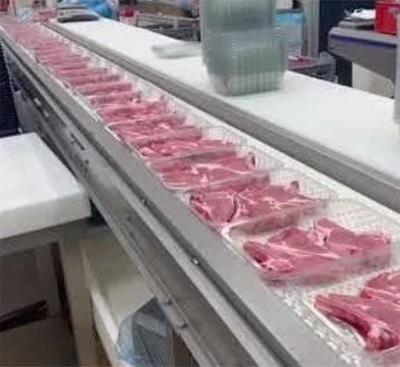 China 304 Stainless Steel Modified Atmosphere Packaging Machine For Fresh Beef 5KW 380V for sale