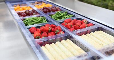 China SS304 Automated  Modified Atmosphere Packaging Machine 5KW For Fresh Vegetable for sale