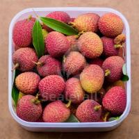 Quality Stainless Steel Modified Atmosphere Packaging Equipment For Fresh Litchi for sale