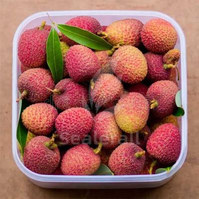 China Stainless Steel Modified Atmosphere Packaging Equipment For Fresh Litchi for sale