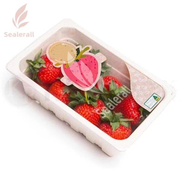Quality Customized 304 Stainless Steel MAP Tray Sealer For Fresh Strawberry 220V 3KW for sale