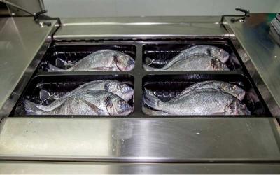 China Live Fish MAP Plastic Box Food Tray Sealing Machines User Friendly for sale