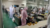 China Customization MAP Tray Sealer For Mousse Cake High Performance for sale