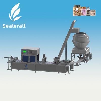 China High Precision Automatic Granule Filling Machine Robust User Friendly for sale