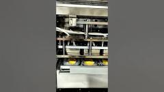 Durian MAP Modified Atmosphere Packaging  Line