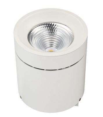 China CREE,CITIZEN or Bridgelux COBLED,Lifud/Meanwell High QualityDriver Compact 6063 Housing Heat-sink + 3D Plastic Reflector for sale