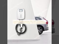 Ac 220v Waterdicht IP54 Voertuig App Smart Home Type 2 Autolaadstation 7kw 32a Ev Charger Wallbox