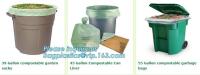 China Biodegradable Compostable Plastic Bag Corn Starch Bag 100 Percent Eco Friendly Disposable for sale