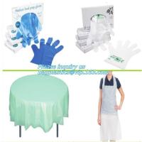 China Biodegradable Compostable Disposable Gloves 100% Corn Starch Eco Friendly Transparent Gloves for sale