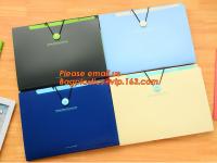 China OEM A4 PP Document File Folder Bag with Button Closure Plastic Envelope for Office School Supplies for sale