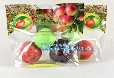China eco-friendly slider Zip lockk fruit bag with air holes for grape packaging bag, slider Zip lockk storage frozen bag with OEM for sale