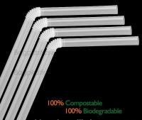 China Disposable Biodegradable Corn Starch Plates 7 inch 9 inch Eco Friendly Compostable Dinnerware for sale