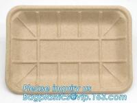 China Compostable Wheat Straw Plate 7 9 Inch Eco Friendly Disposable Dinnerware Customizable for sale
