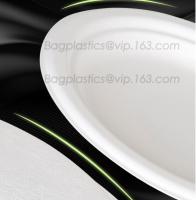 China Compostable Round Dinner Plate 7 9 Inch Biodegradable Sugarcane Eco Friendly Disposable for sale