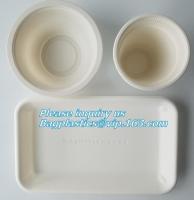China Biodegradable Compostable Sugarcane Bagasse Plates 7 9 Inch Eco Friendly Disposable Dinnerware for sale