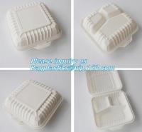 China Biodegradable Compostable Sugarcane Plates 7 inch 9 inch Disposable Eco Friendly Dinnerware for sale