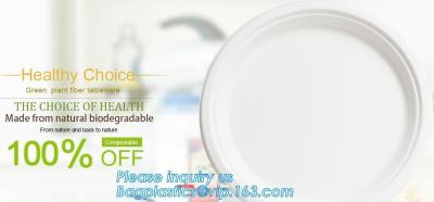 China disposable takeaway bento to go box compostable food packaging sugarcane bagasse tableware biodegradable food container for sale
