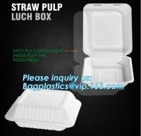 China Eco Friendly Biodegradable Corn Starch Lunch Box 3 Compartment 1000ml Disposable Food Container for sale